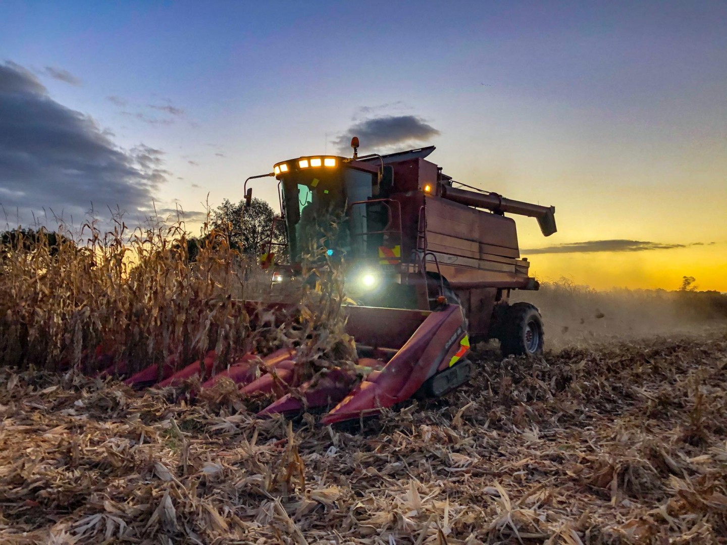 Maize Grain | Finch Contracting