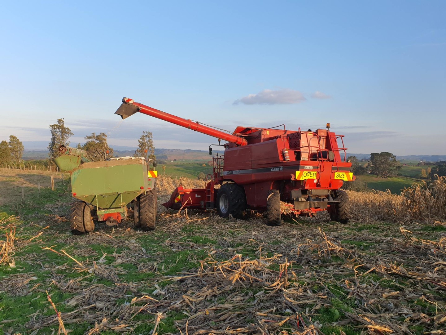 Maize Grain | Finch Contracting