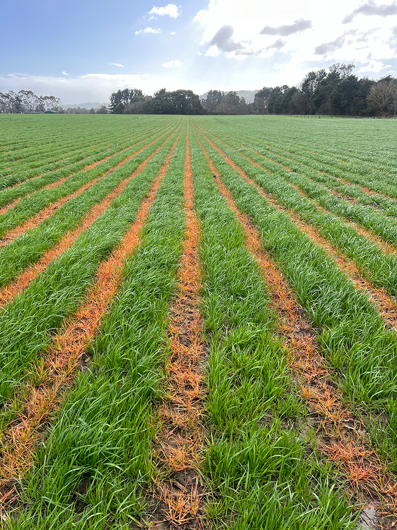 Maize Planting & Strip Till/Spray | Finch Contracting