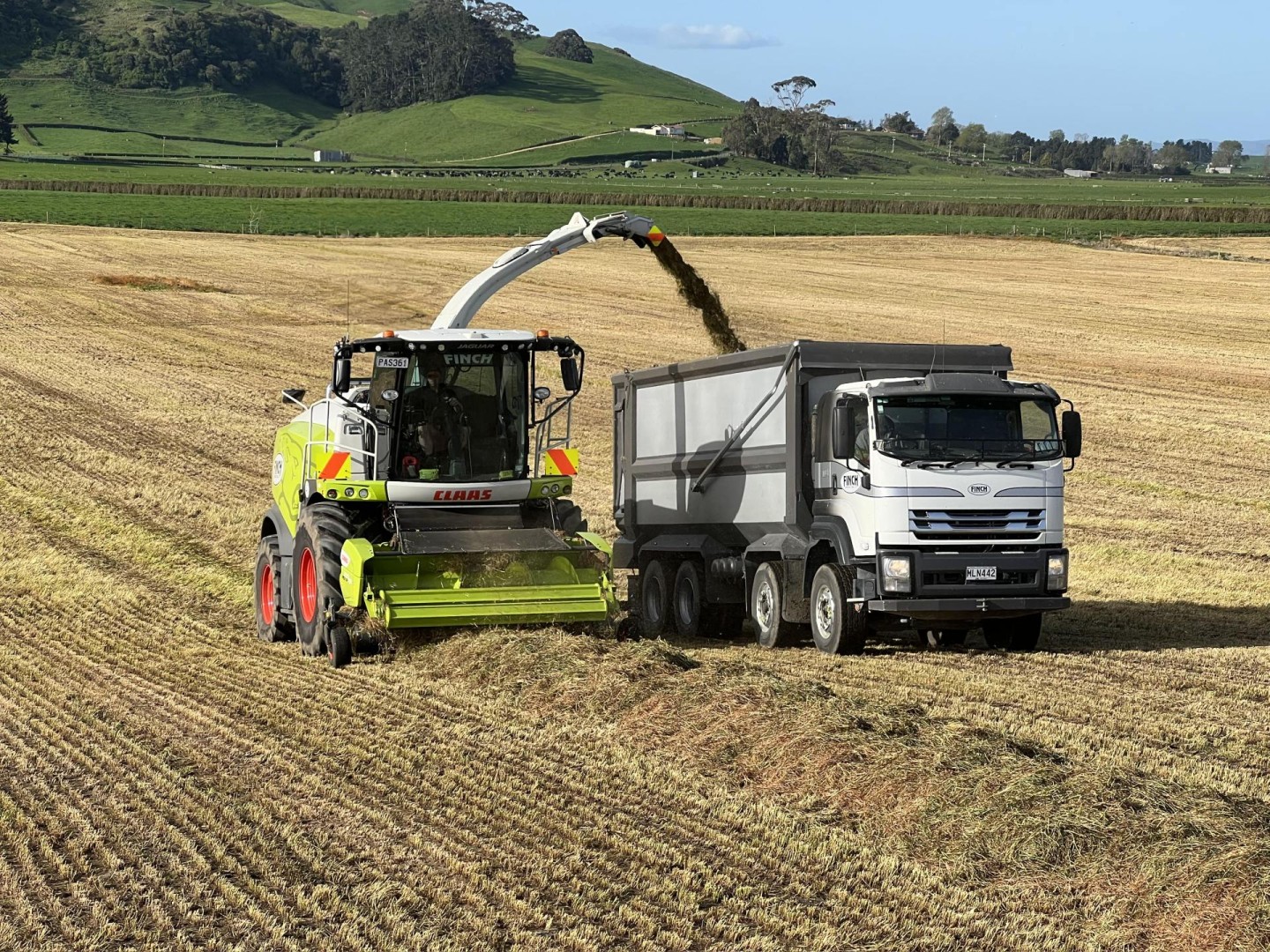 Maize, Grass & Lucerne Crop Sales | Finch Contracting