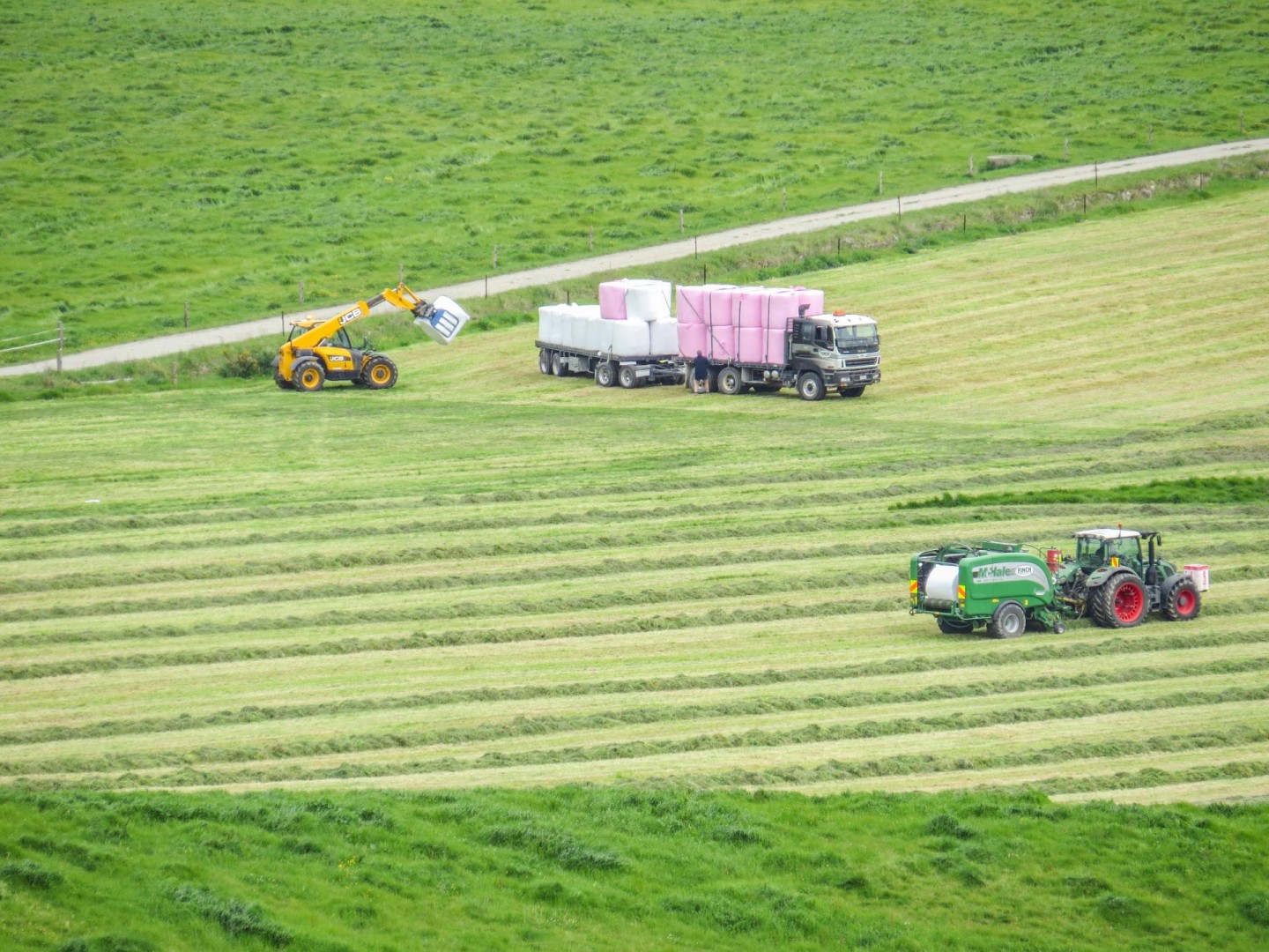 Maize, Grass & Lucerne Crop Sales | Finch Contracting